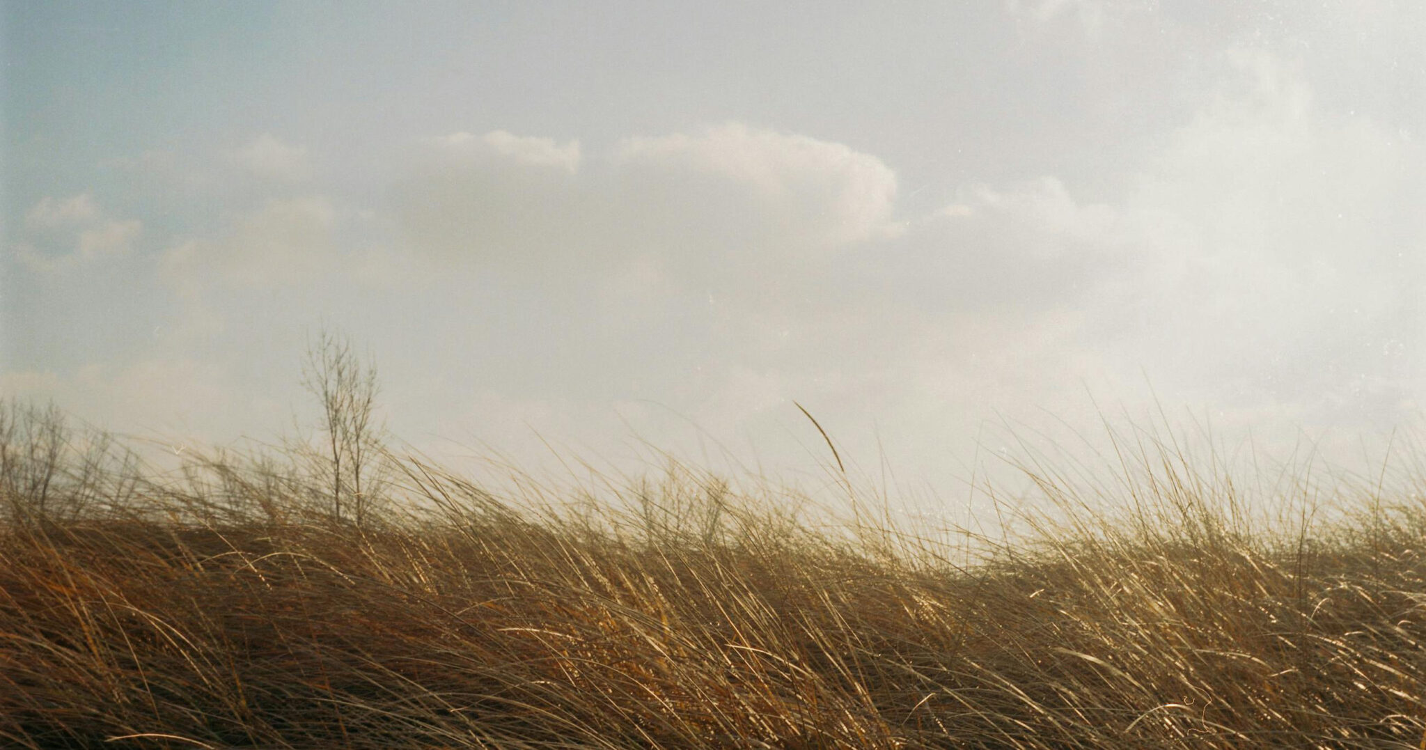 Brother Wind and the Breath of God - Franciscans International